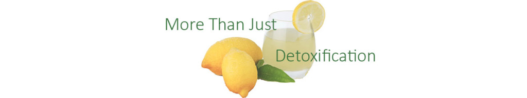 SP-cleanse-detox-image - Pain Relief Chiropractic